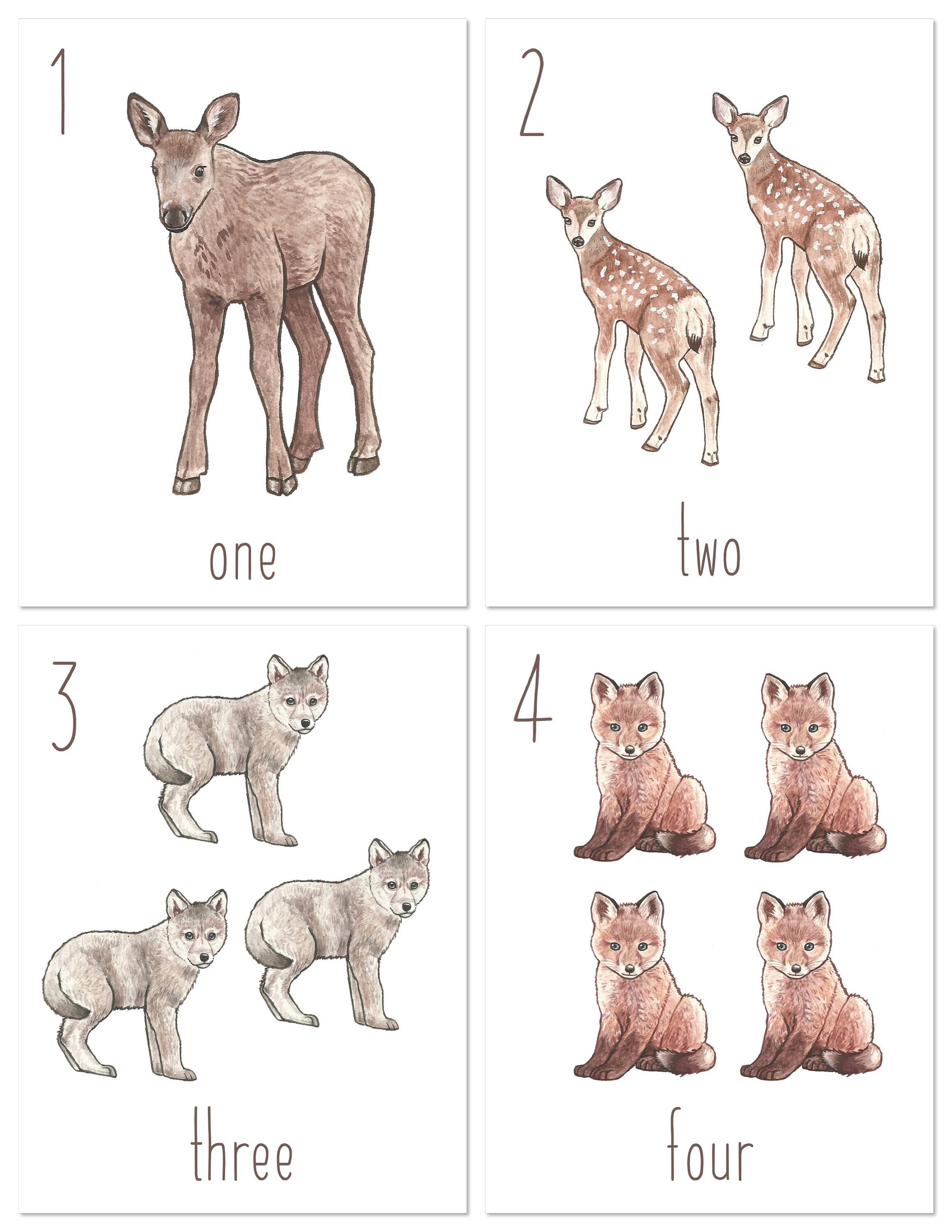Forest Flashcards - Etsy