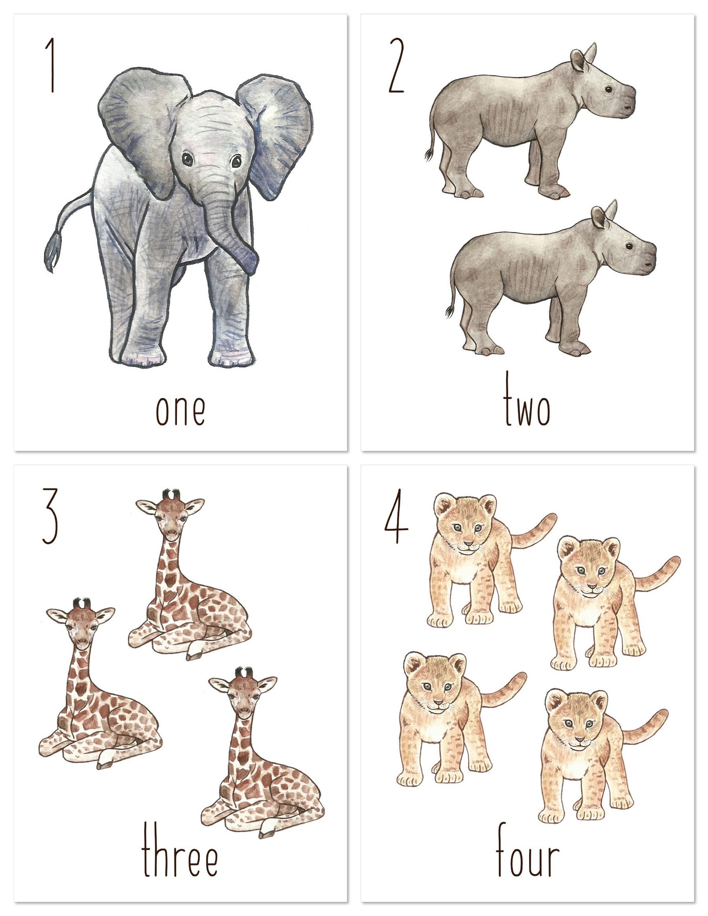 Safari Flashcards - Etsy
