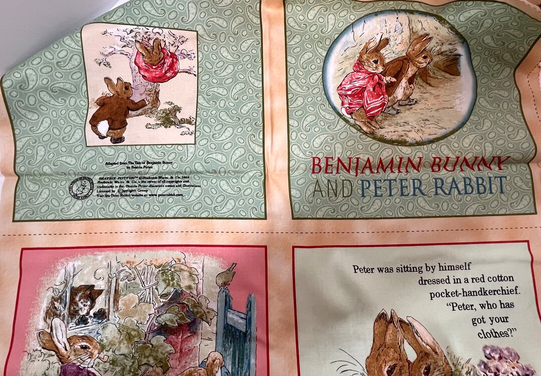Beatrix Potter Benjamin Bunny and Peter Rabbit Soft Book Quilt Kit DIY ...