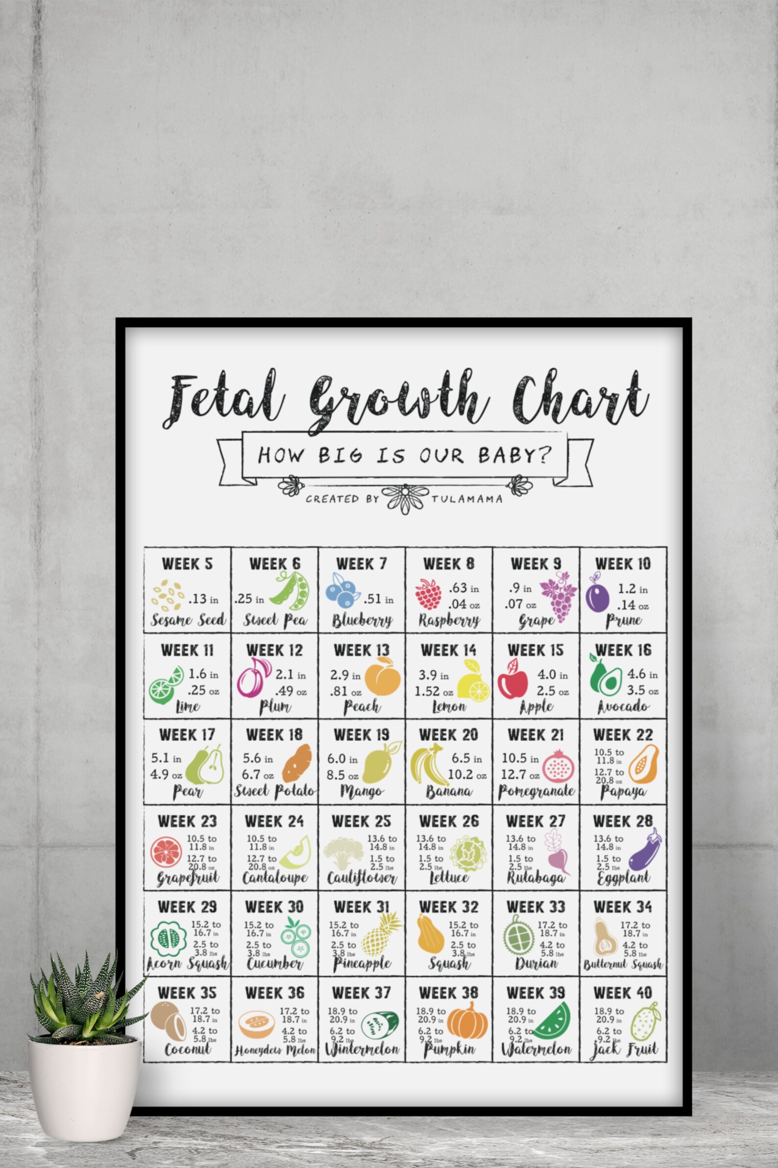 How Big is Baby Week by Week Baby Growth Chart Pregnancy Bump Poster ...