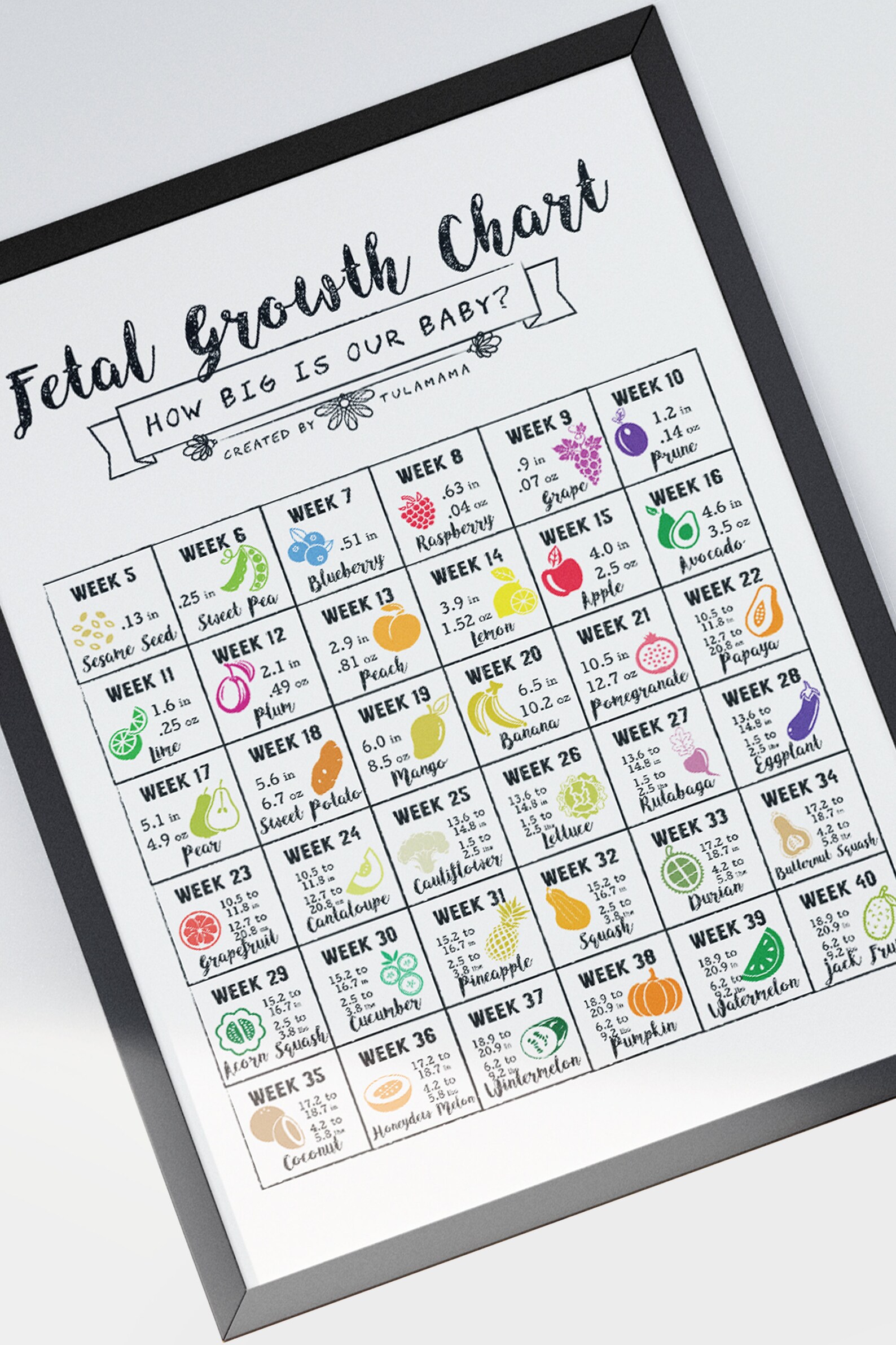 How Big is Baby Week by Week Baby Growth Chart Pregnancy Bump Poster ...