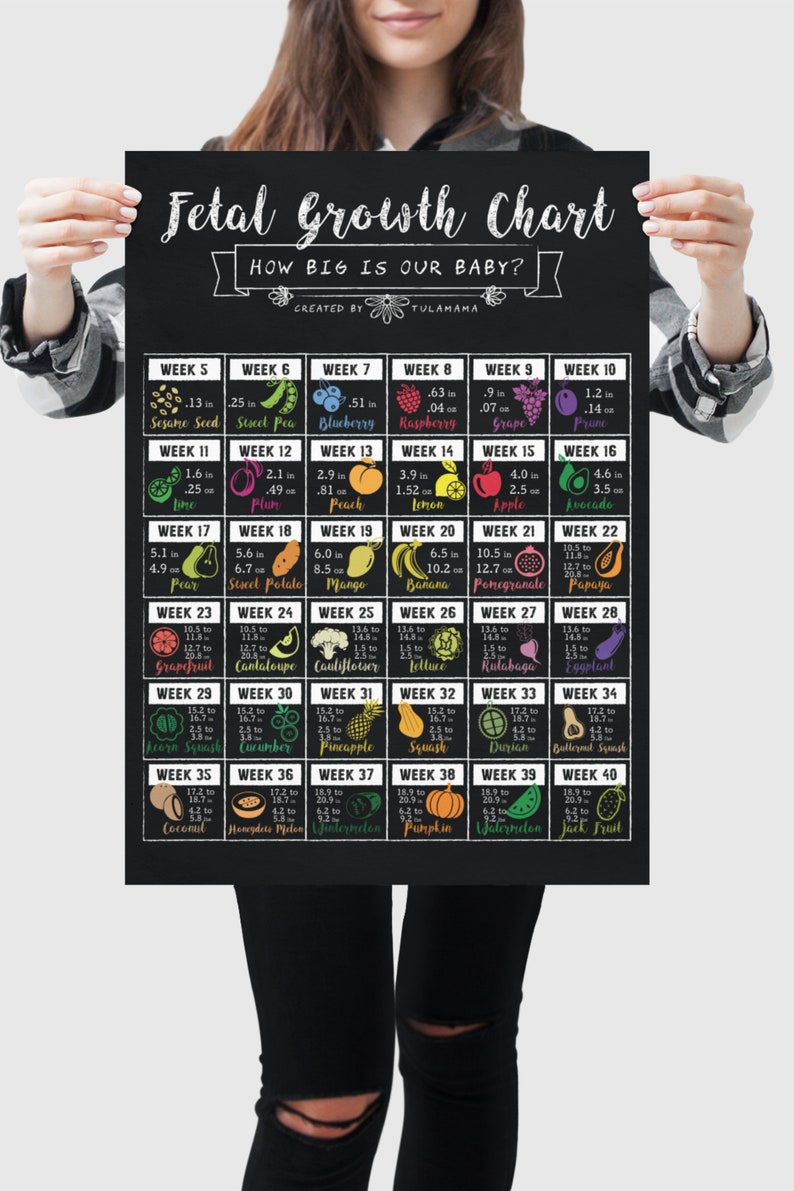Week by Week Baby Growth Chart Pregnancy Bump Poster 18x24 Bump to Baby ...
