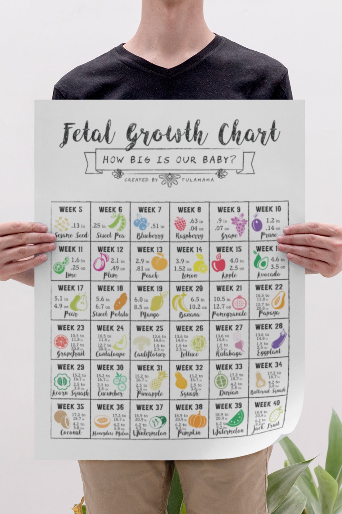 How Big is Baby Week by Week Baby Growth Chart Pregnancy Bump Poster ...