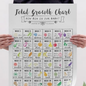 How Big is Baby Week by Week Baby Growth Chart Pregnancy Bump Poster ...