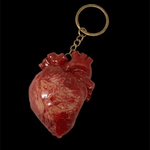 Anatomical Heart Keychain, Anatomical Heart, Morbid Anatomy, Heart ...