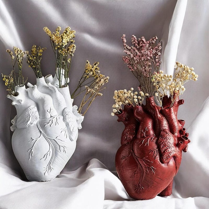 Anatomical Heart Vase - Etsy