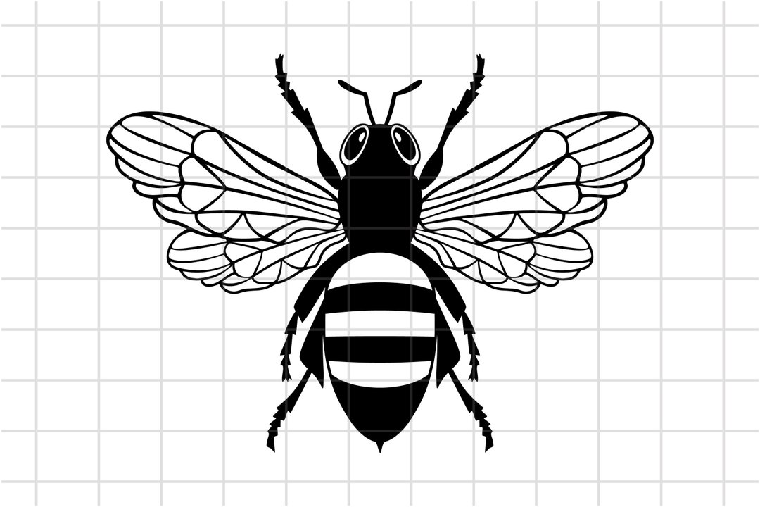 Bee SVG Cut File Honey Bee Cutting File for Cricut - Etsy