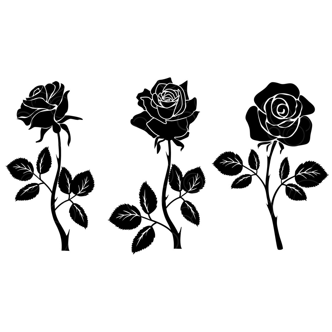 Set de tres lindas rosas SVG, Rose SVG, Rose cut file, Rosebud svg ...
