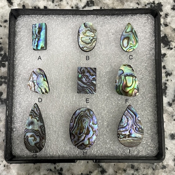 Abalone Cabochons - Etsy