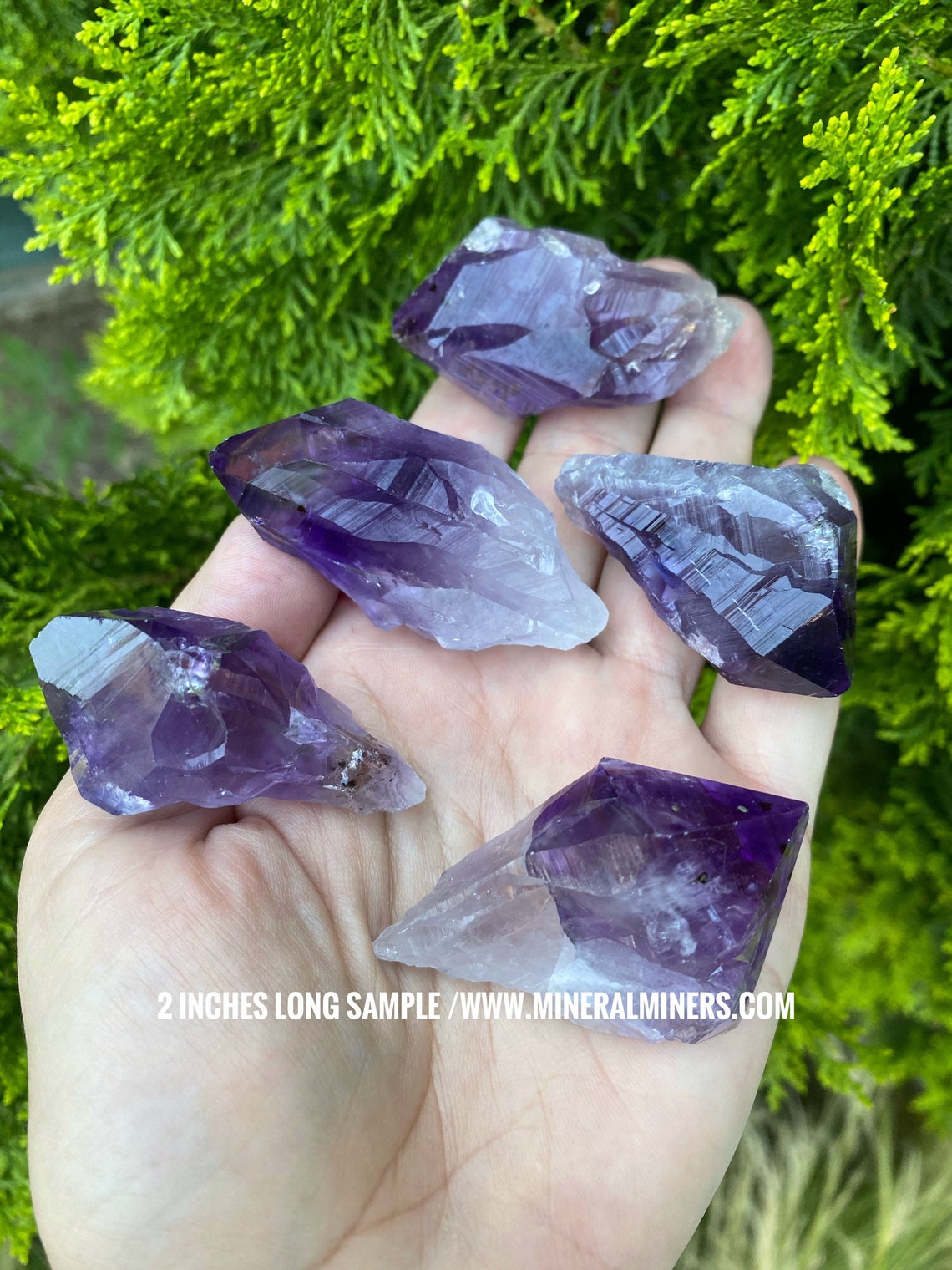 Amethyst Crystals Small Size Crystals 2 Inch Natural Color - Etsy