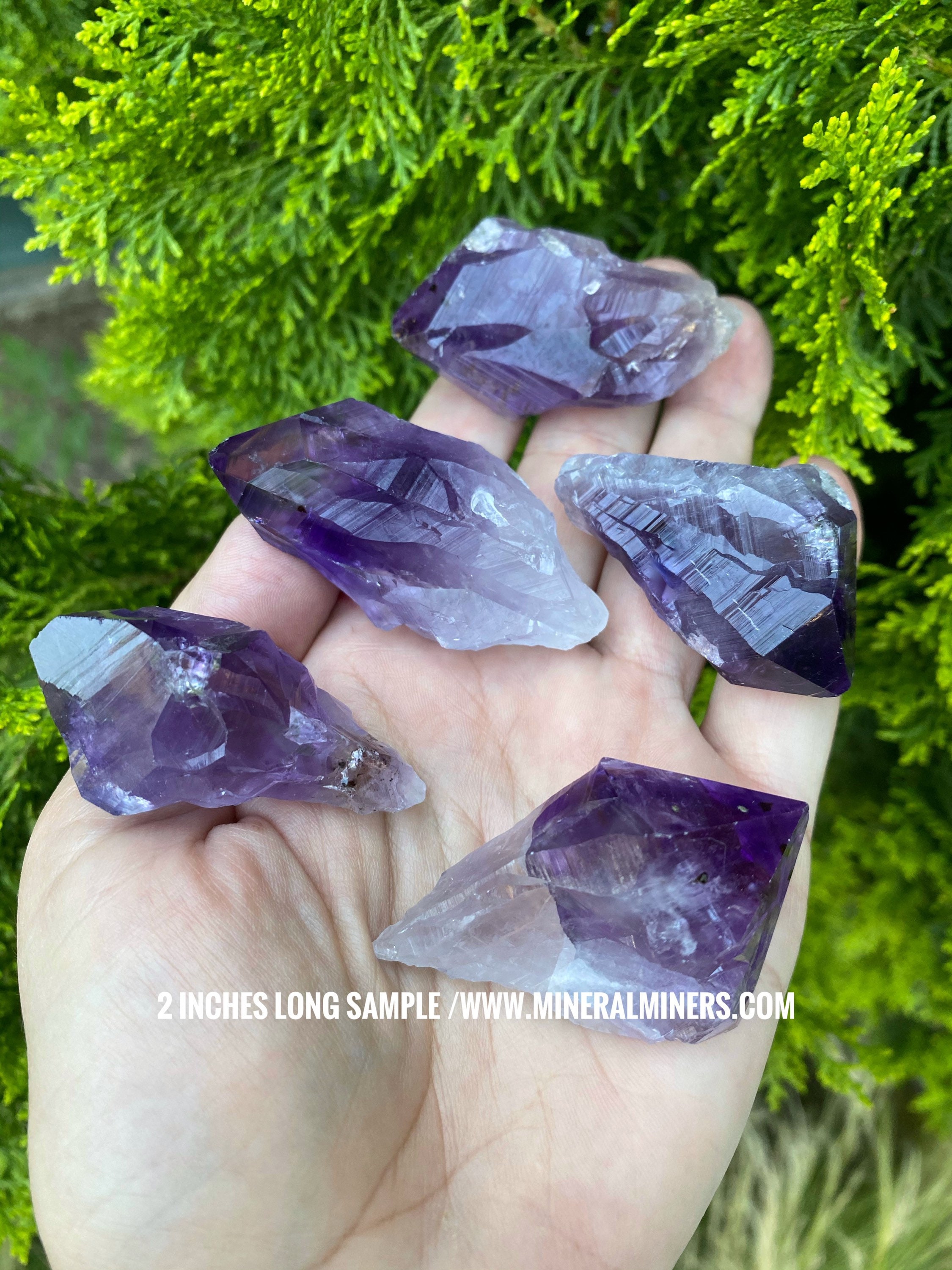 Amethyst Crystals, Small Size Crystals, 2 Inch Natural Color Amethyst ...
