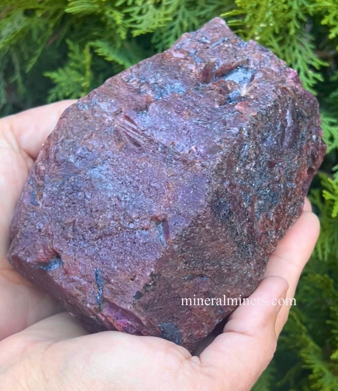 Giant Ruby Crystal Museum Rare Size Sapphire Crystal - Etsy