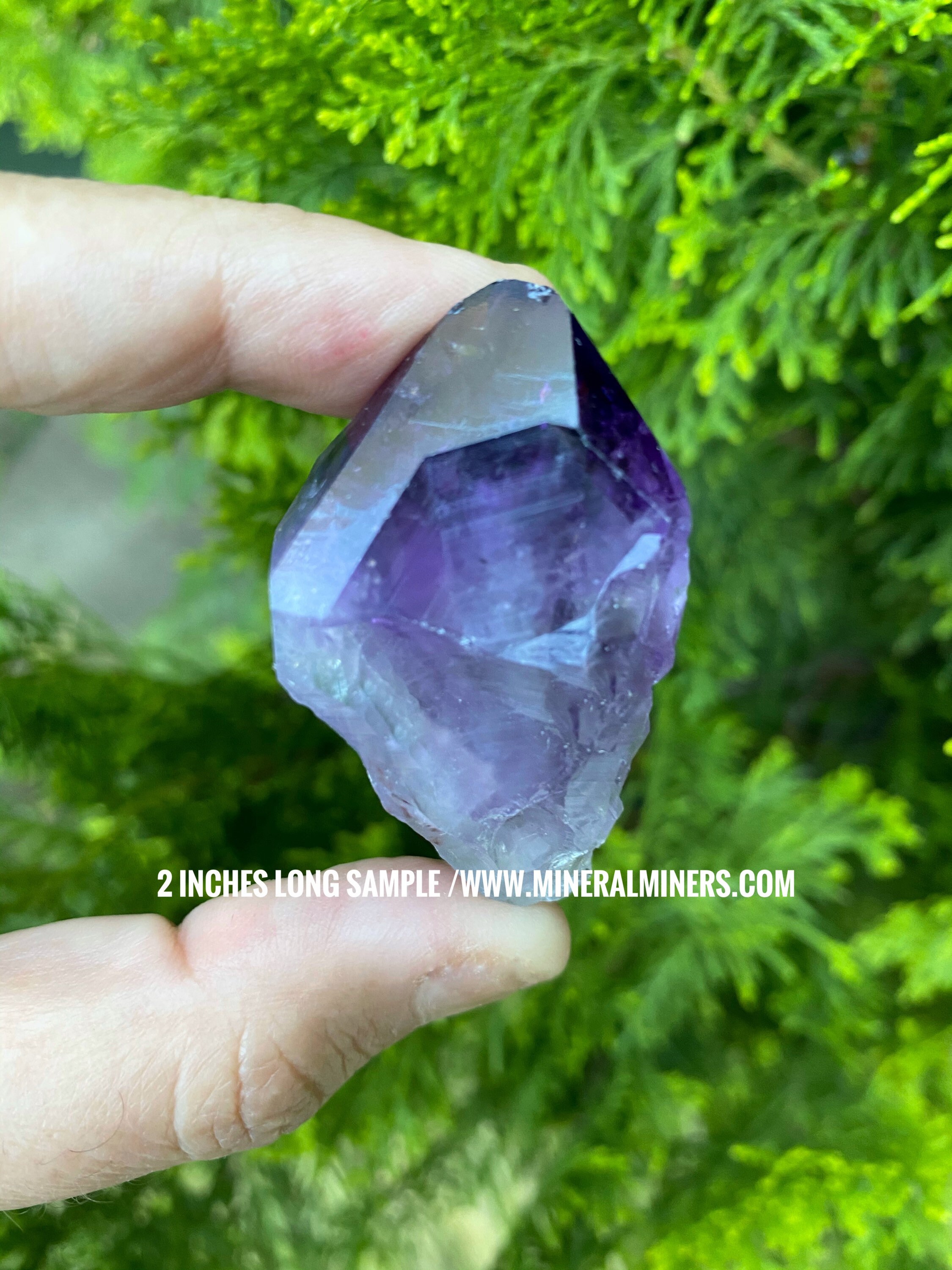 Amethyst Crystals Small Size Crystals 2 Inch Natural Color - Etsy
