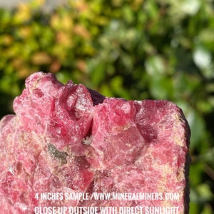 Rhodonite Specimens Natural Color Rhodonite Pink Rhodonite - Etsy