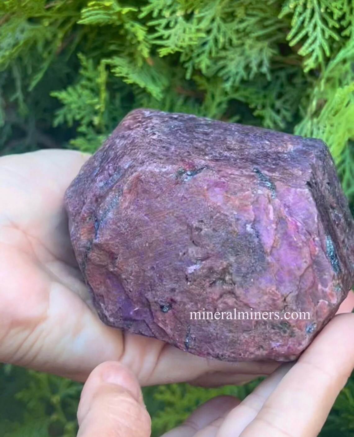 Giant Ruby Crystal Museum Rare Size Sapphire Crystal - Etsy