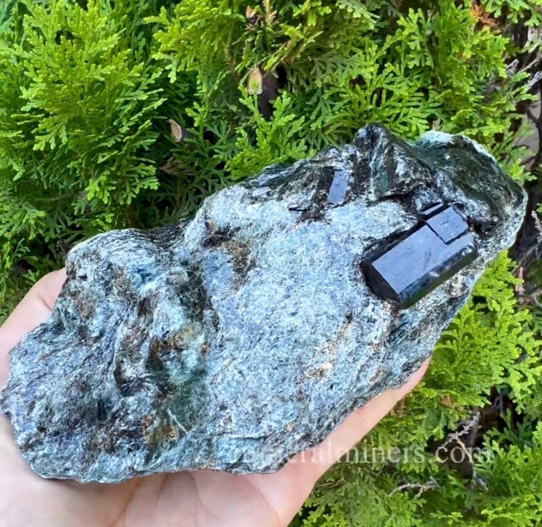 Large Black Tourmaline Crystal in Matrix, Black Tourmalines, Negativity ...