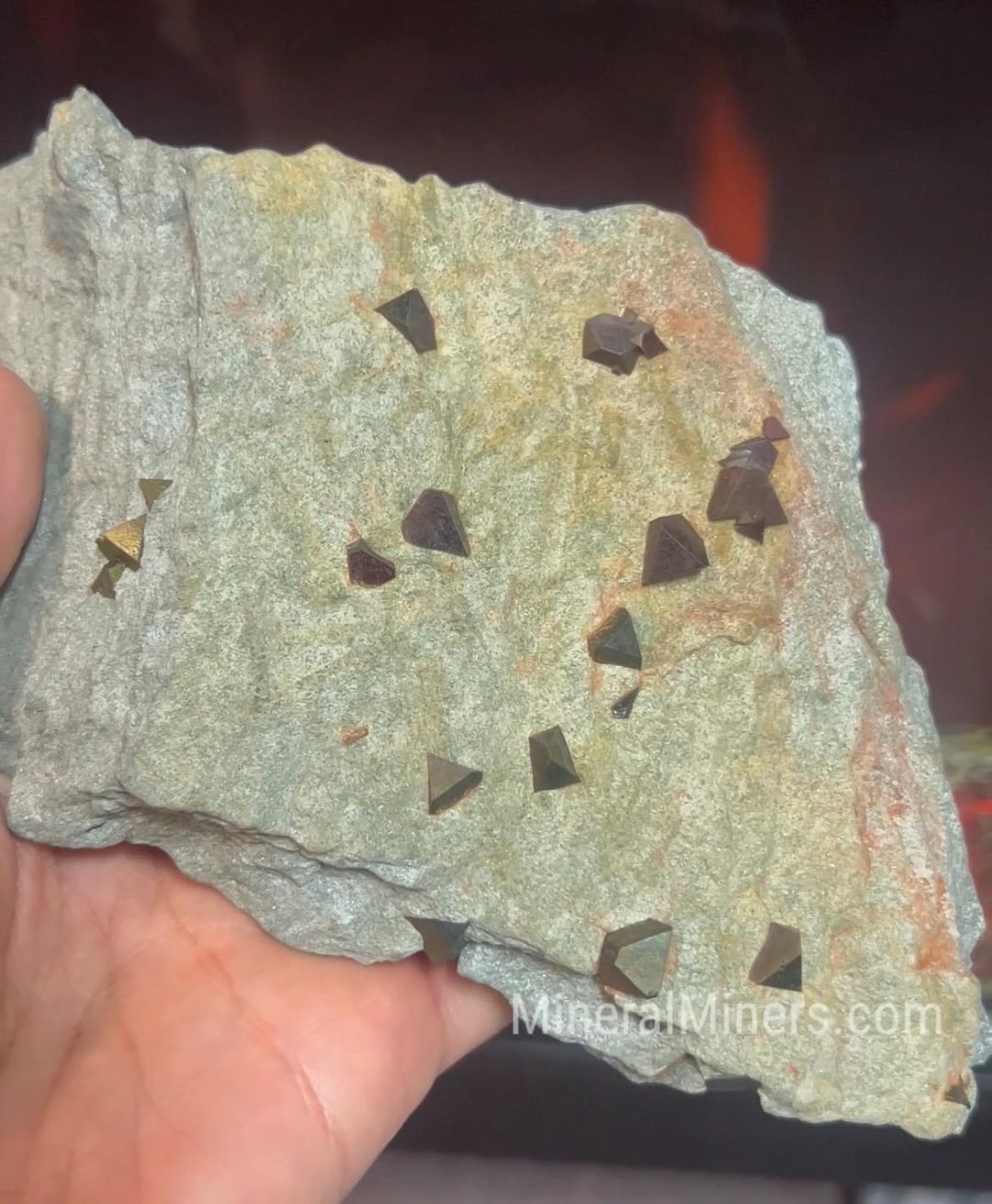 Magnetite Crystals in Schist Matrix, Magnetite, Octahedral Magnetite ...