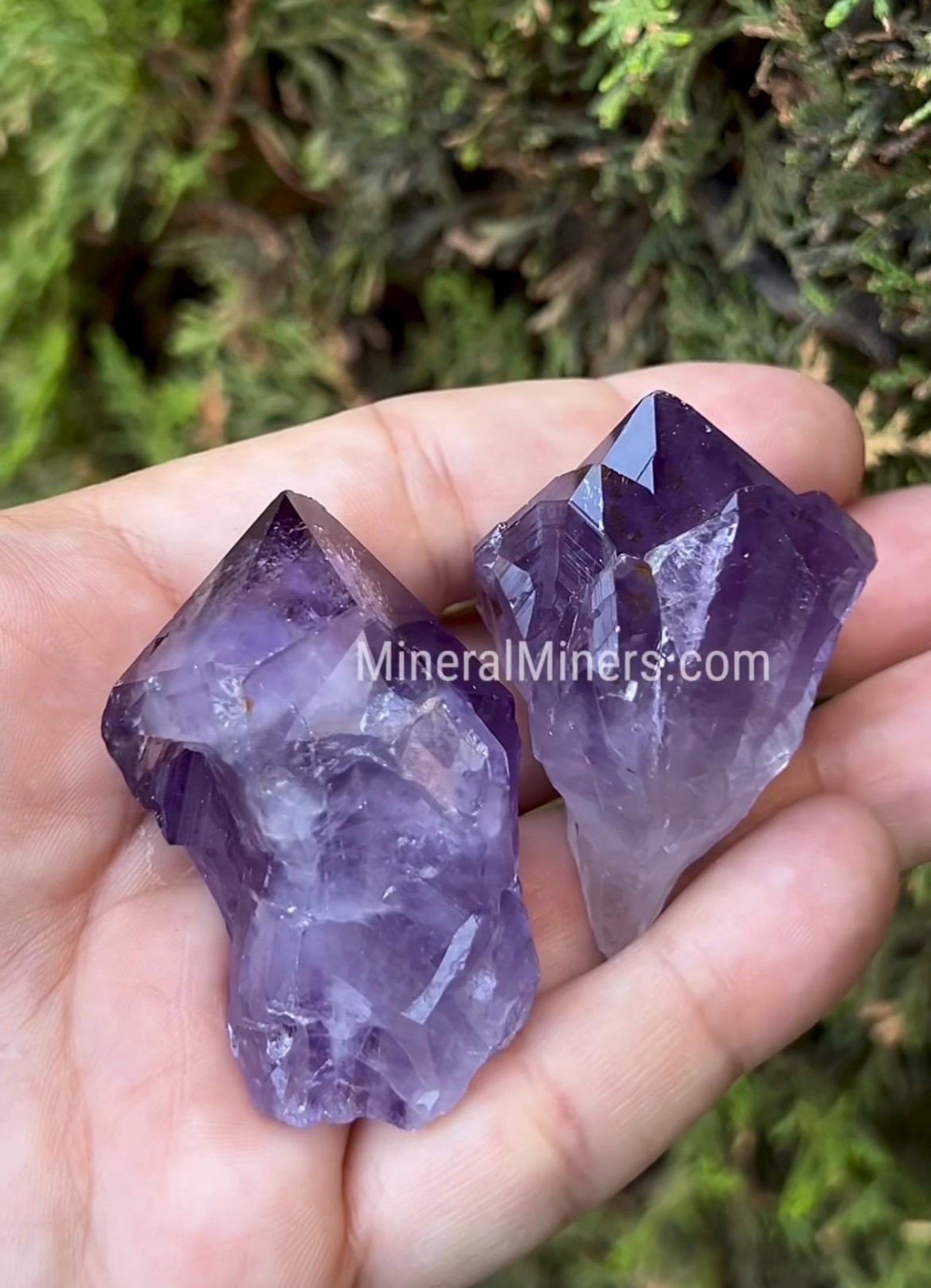 Amethyst Crystals, Small Size Crystals, 2 Inch Natural Color Amethyst ...