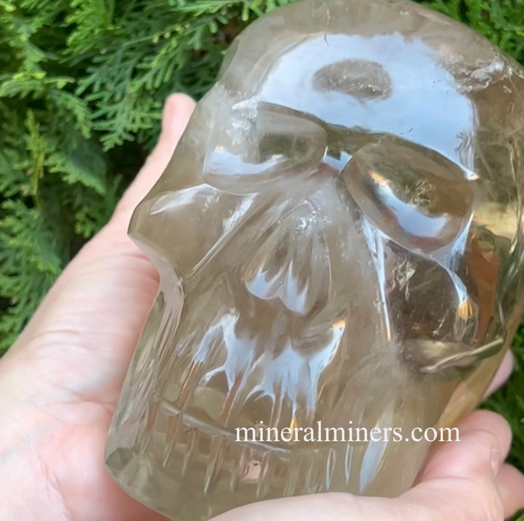 Large Citrine Crystal Skull, 5.6 Rare Natural Color Citrine Skull ...