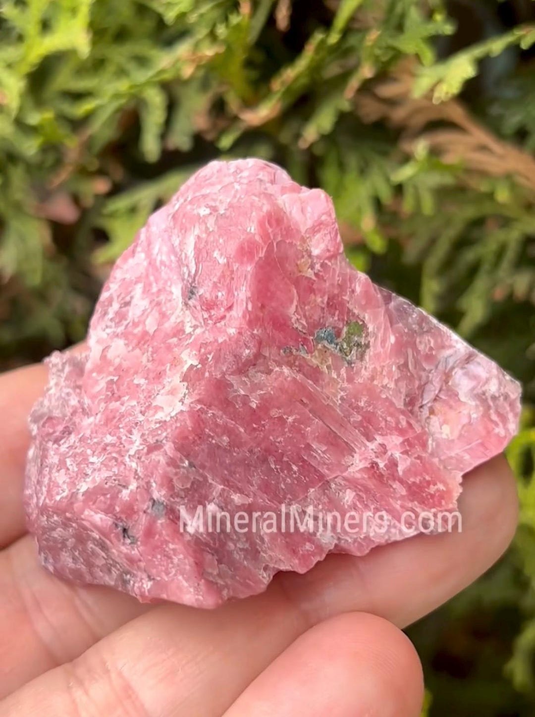 Miniature Rhodonite, Natural Color Pink Rhodonite, Collector Rhodonite ...