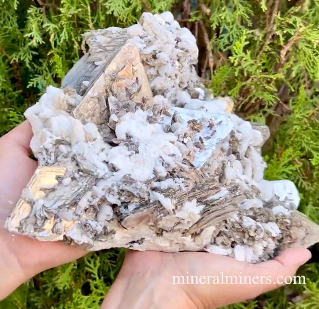 Muscovite Mica Diamond Shape Specimen, Intergrown Muscovite With Albite ...