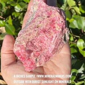 Rhodonite Specimens Natural Color Rhodonite Pink Rhodonite - Etsy