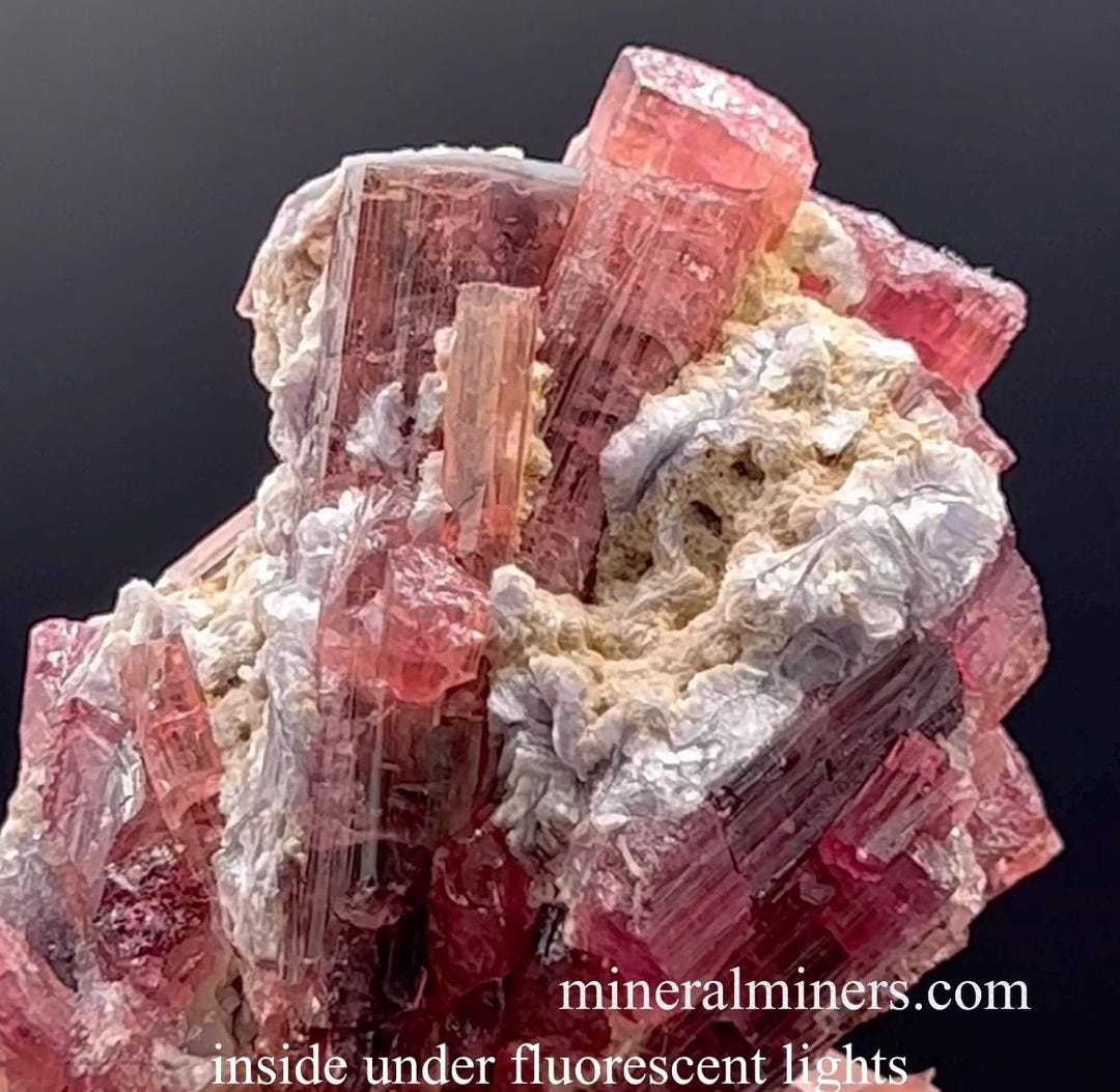 Rubellite Tourmaline Crystal in Lepidolite Matrix, Collector Rubellite ...