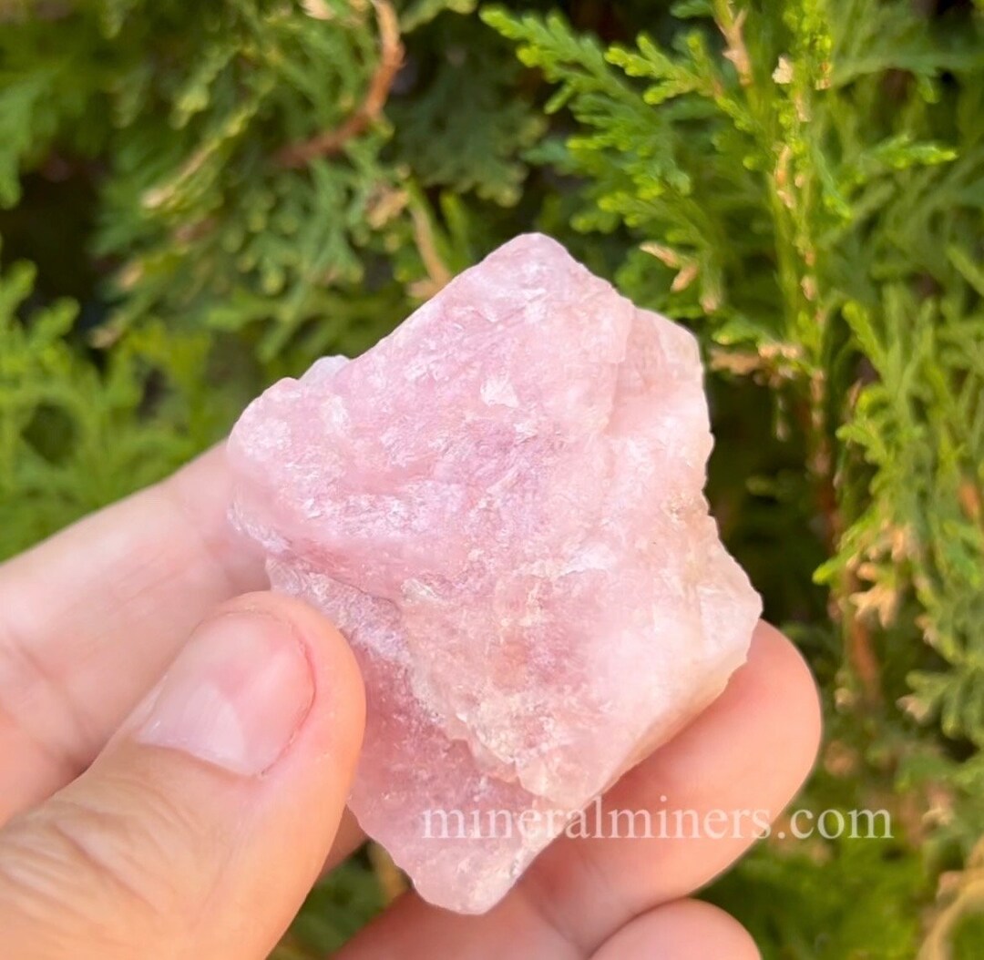 Raw Morganite Crystal, Pink Beryl Stone, Natural Color Morganite ...