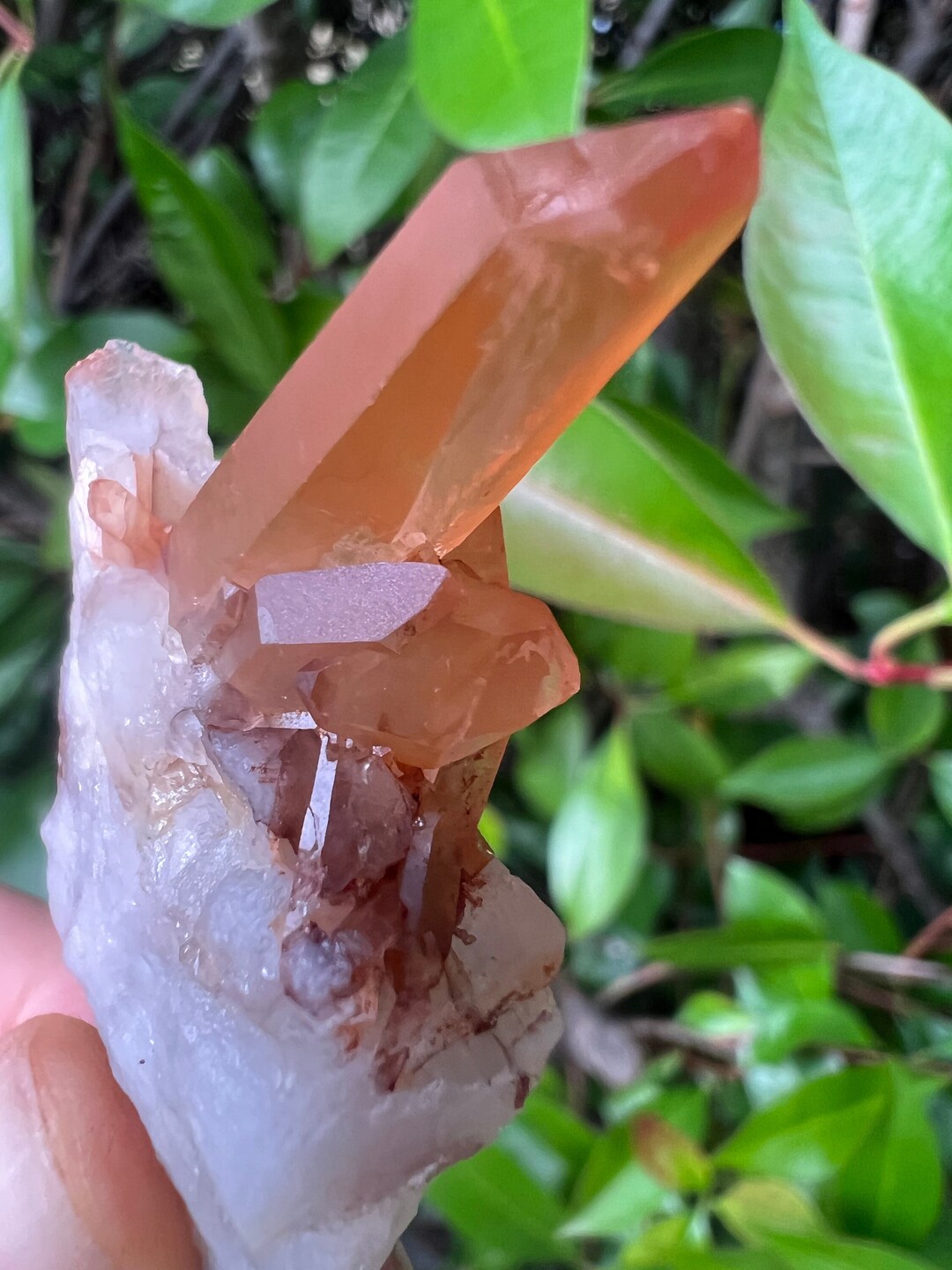Tangerine Quartz Point Cluster, Quartz W Iron Oxide, Raw Tangerine ...