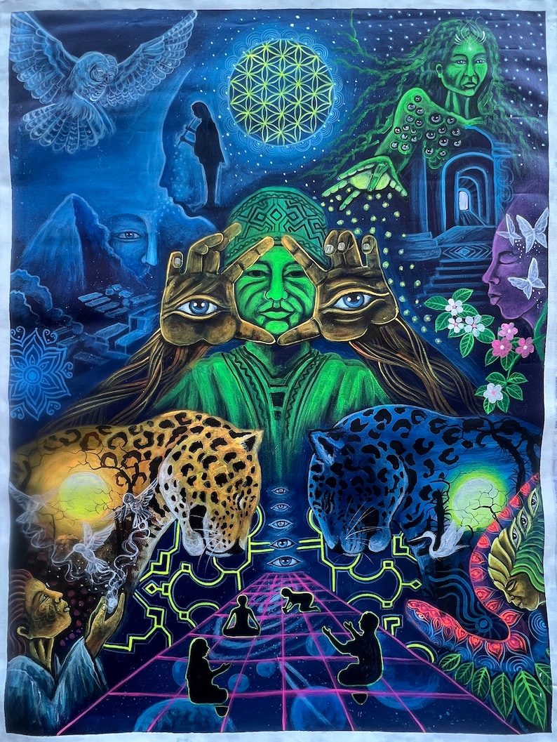 Shipibo-conibo Ayahuasca Acrylic Painting, Handmade Psychedelic Tribal Visionary Art, Maestro ...
