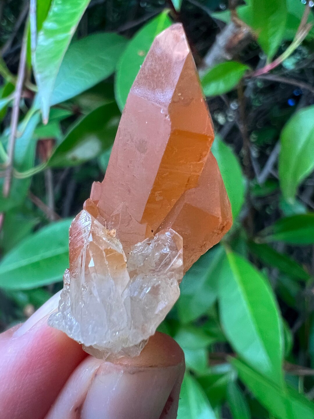 Tangerine Quartz Point Cluster, Quartz W Iron Oxide, Raw Tangerine ...