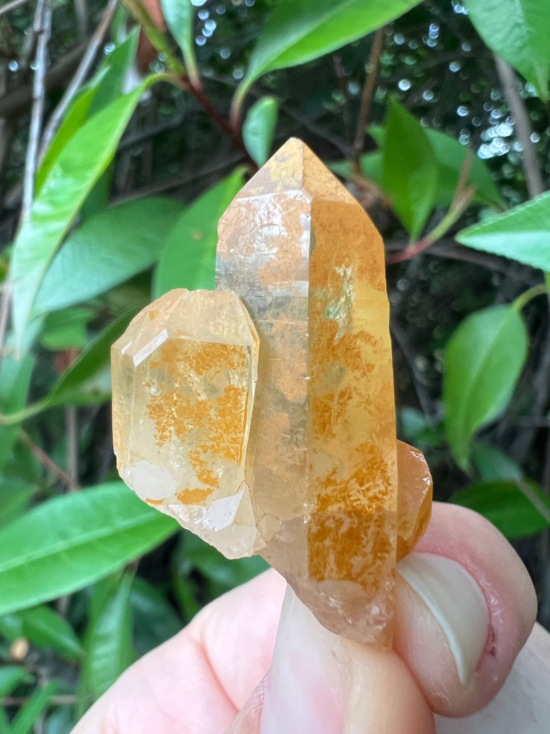 Tangerine Quartz Point Cluster, Quartz W Iron Oxide, Raw Tangerine ...