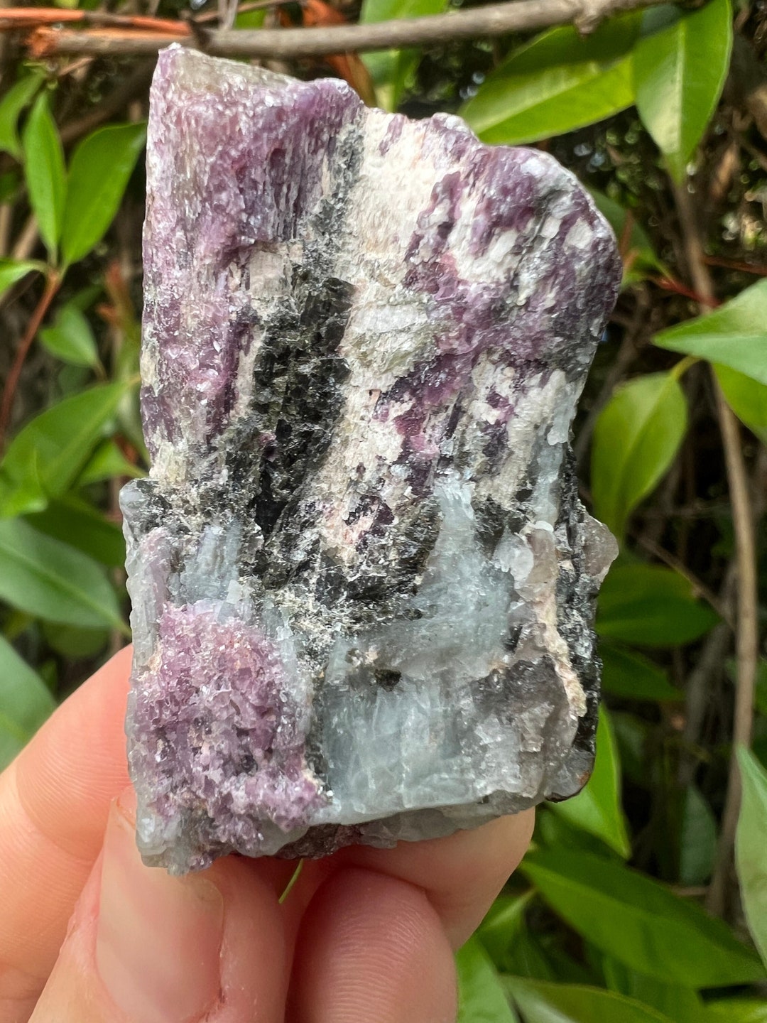 Black Tourmaline Matrix in Quartz Crystal W Lepidolite Mica,purple ...
