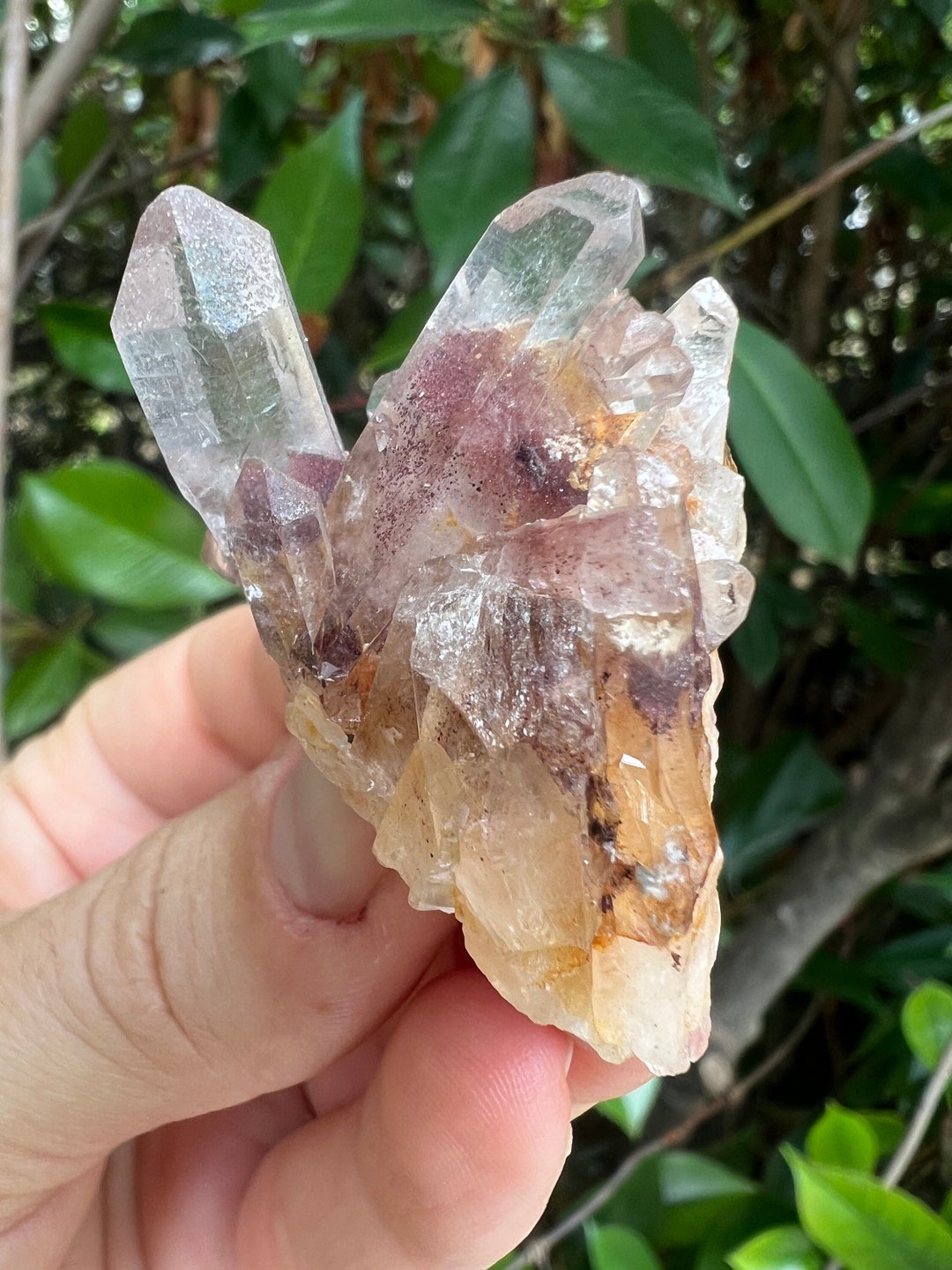 Harlequin Quartz Crystal Cluster, Hematoid Phantom Quartz, Hematite ...