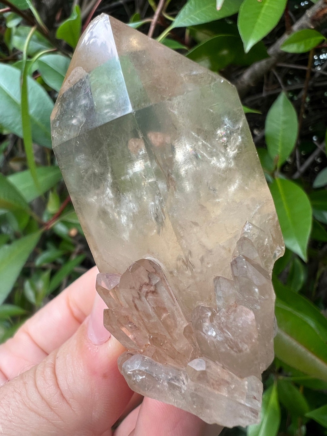 Citrine Point, Raw Citrine Crystal Quartz Point,grade A Rough Citrine ...