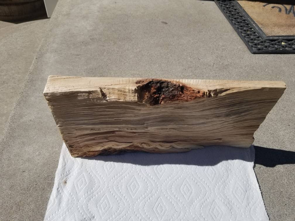 Wood Burning of Revolver Pistol With Long Horn Skull - Etsy