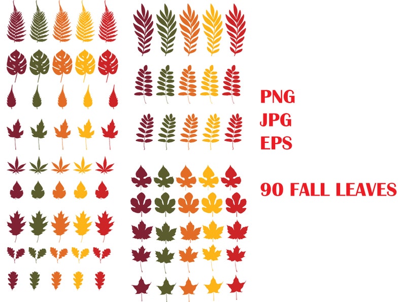 Fall Autumn Clipart Digital for Print Illustrations Journal ...