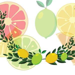 Citrus Fruits Clipart Leaves Wreaths Lemon Lime Orange Grapefruit ...