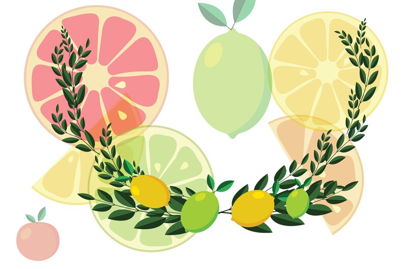 Citrus Fruits Clipart Leaves Wreaths Lemon Lime Orange Grapefruit ...
