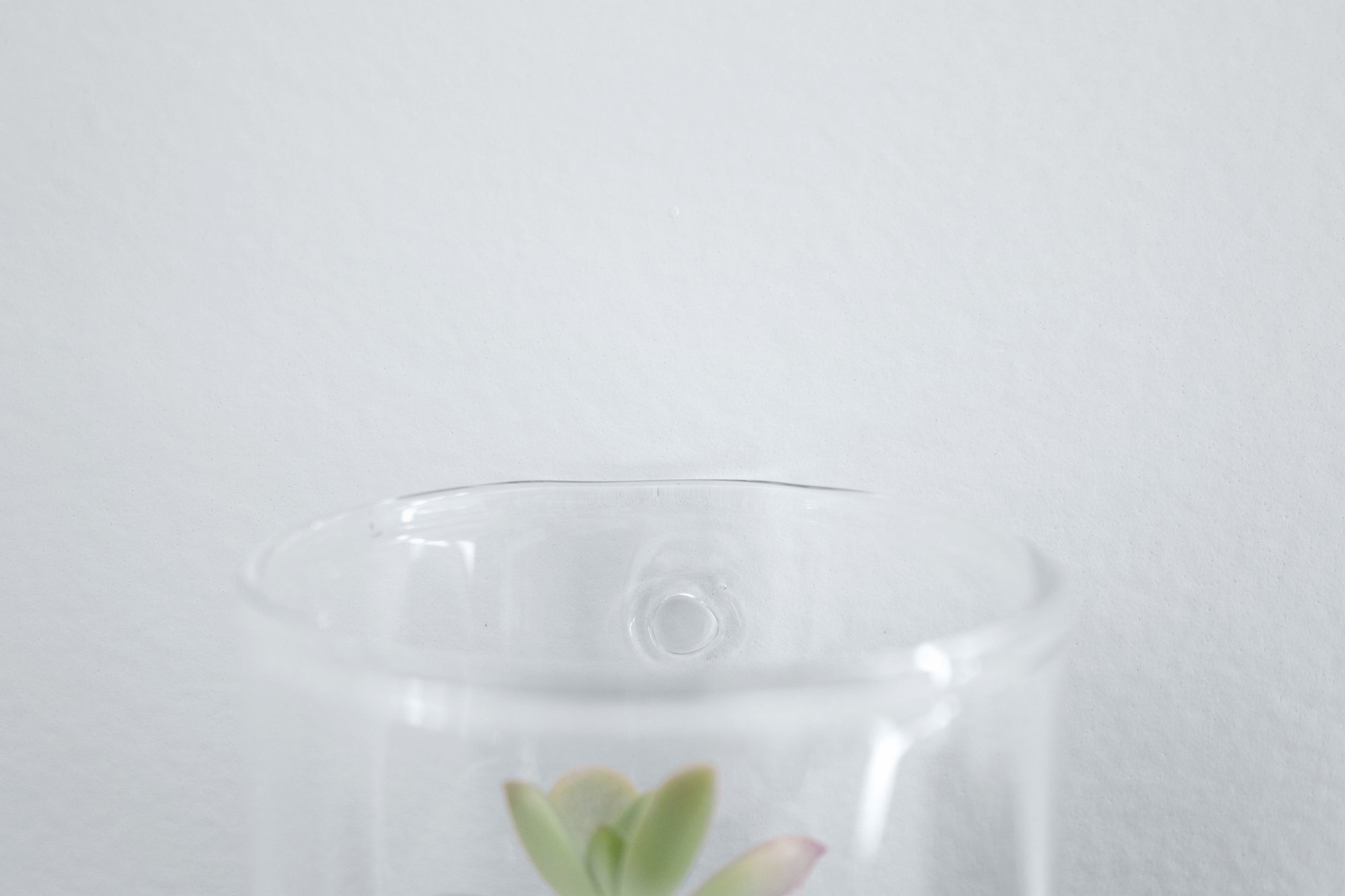 Decorative Glass Wall PLANTER - Etsy