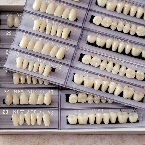 Fake Human Teeth - Etsy