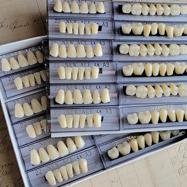 Fake Tooth Jewelry - Etsy