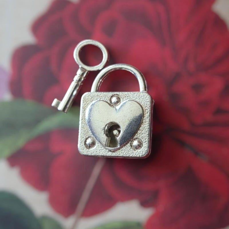 Diary Lock - Etsy