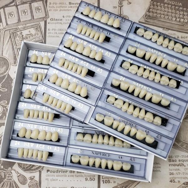 Fake Human Teeth - Etsy