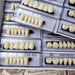 168 Human Teeth 24 Cards Made of Composite Resin craft Grade 6 Full ...