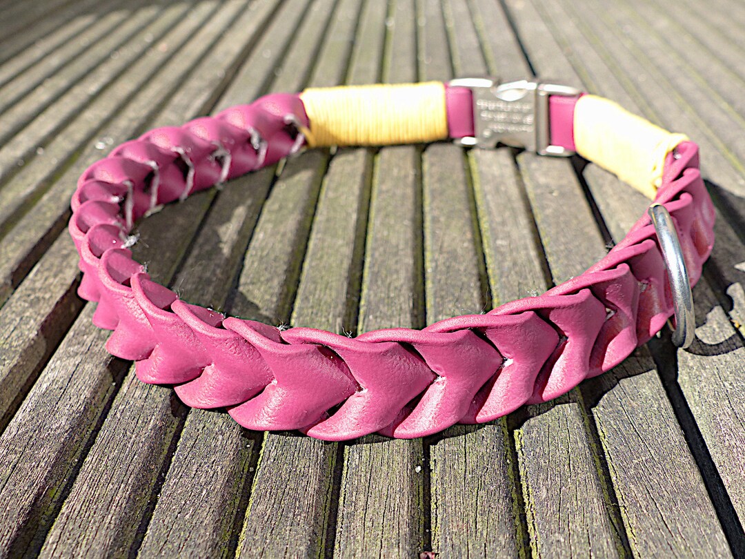 Braided Biothane Collar With Rigging and Alu Max Click Closure - Etsy