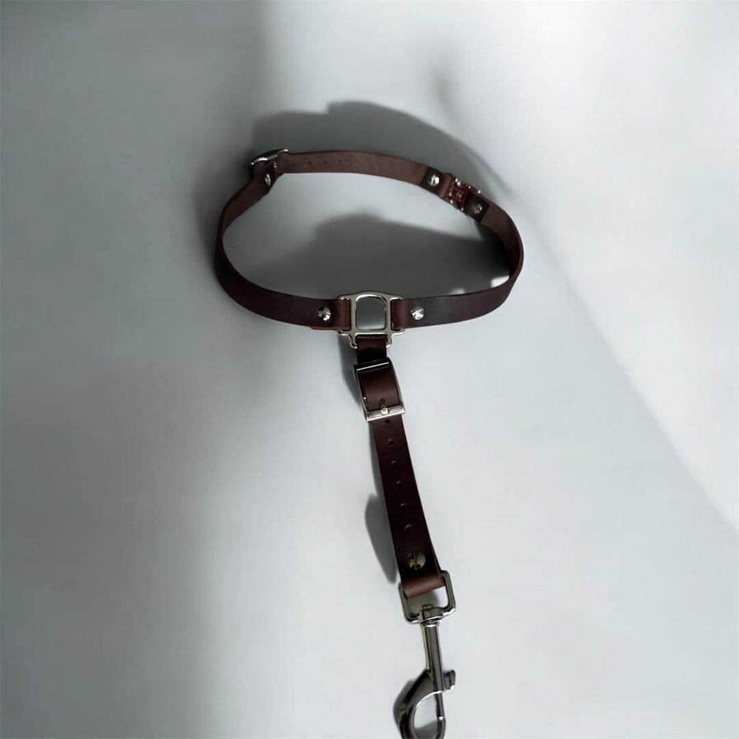 Böttcher Tracking Harness - Etsy