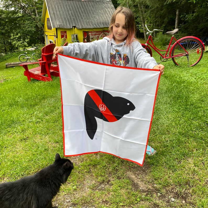 Vintage Olympic Mascot Flag Montreal 1976 Amik - Etsy Canada