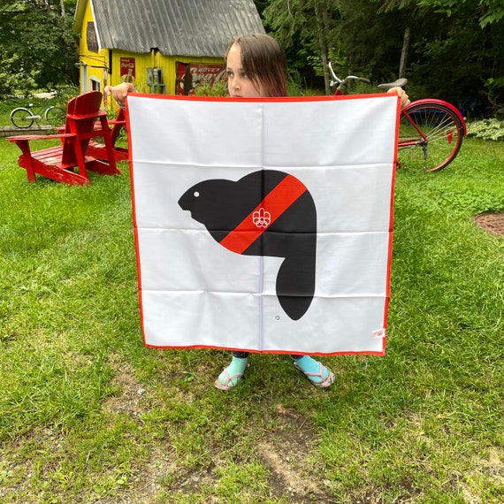 Vintage Olympic Mascot Flag Montreal 1976 Amik - Etsy Canada