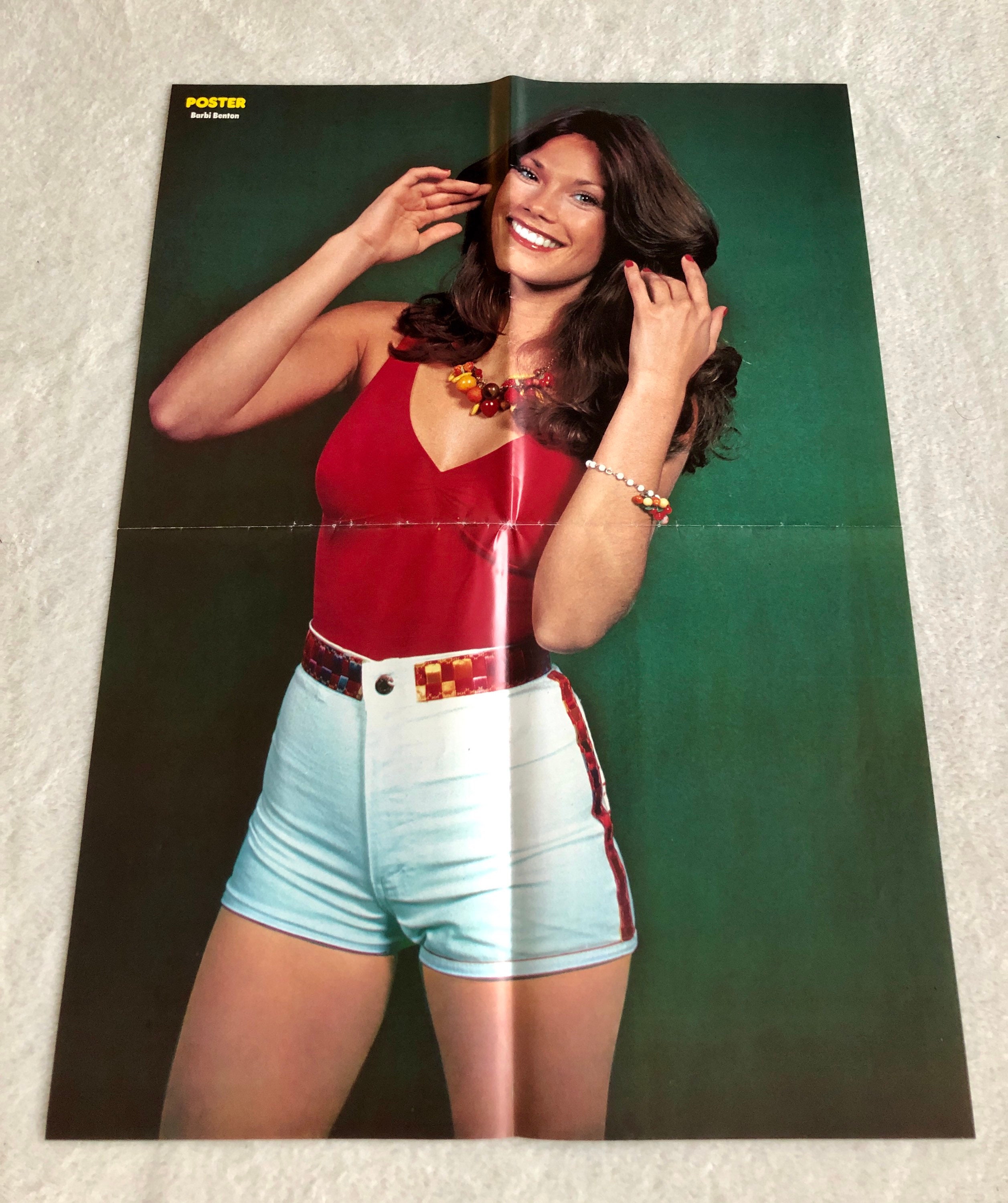 Barbi Benton Poster 1978 Swedish Poster Magazine 1970s Playboy - Etsy